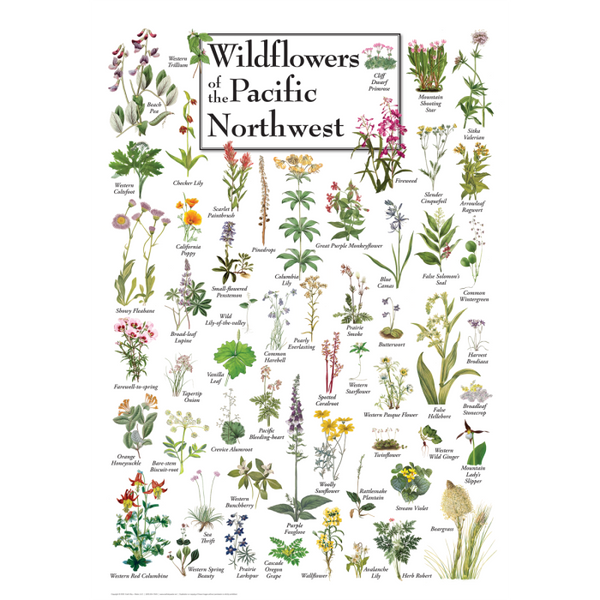 Wildflowers of Pacific Northwest Poster – Metsker Maps